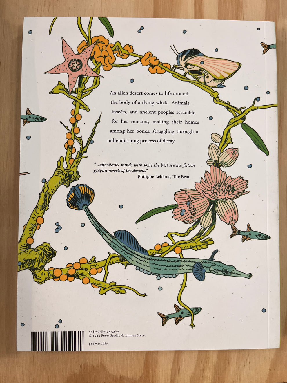 Stages of Rot – partnersandson